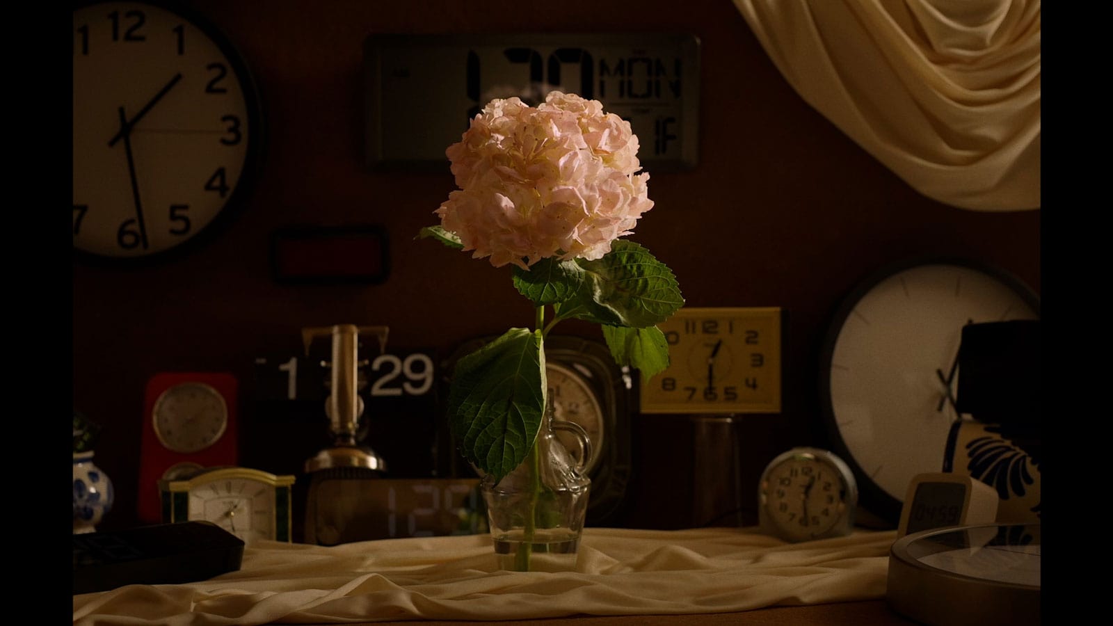 Reisinger Studio – Hortensia Documentary