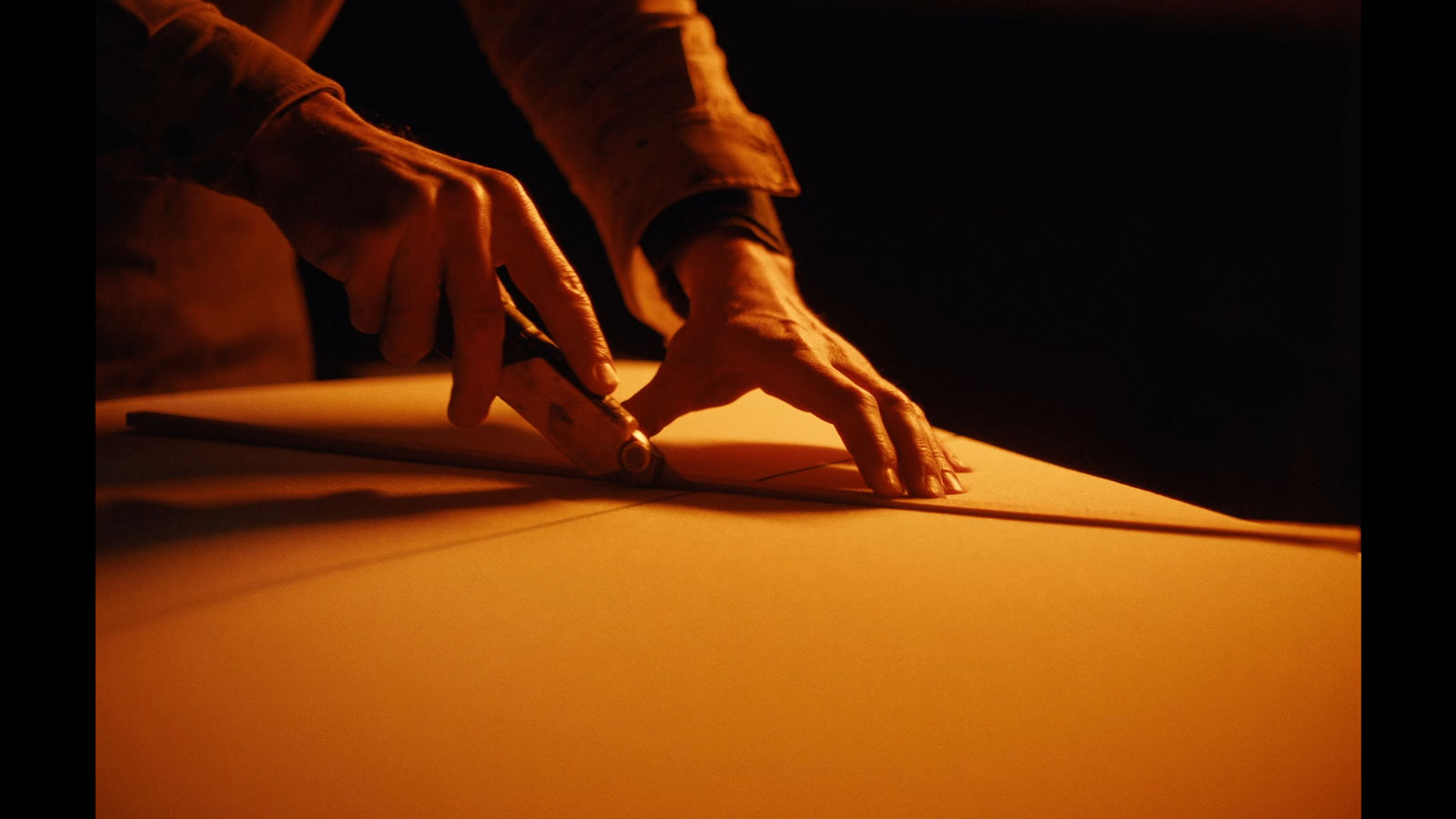 Reisinger Studio – Hortensia Documentary